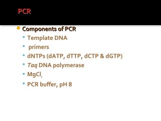 01. pcr and qpcr2 | PPT