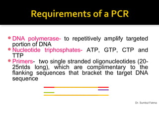 01. pcr and qpcr2 | PPT
