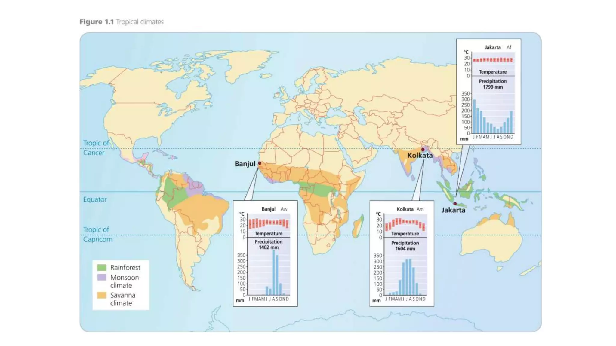 CAMBRIDGE GEOGRAPHY A2 REVISION - TROPICAL ENVIRONMENTS: TROPICAL ...