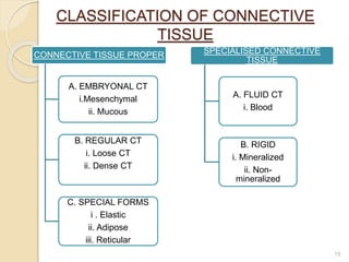 Connective Tissue Classification