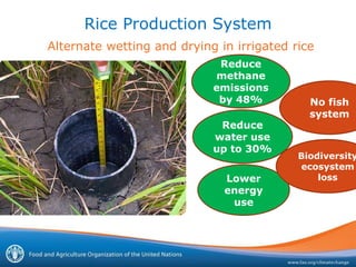 Climate smart agriculture origins | PPT