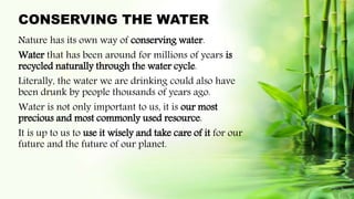 SUSTAINABILITY: WORLD'S WATERWAYS AND WATER'S IMPORTANCE | PPTX