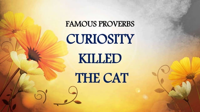 PROVERBS: CURIOSITY KILLED THE CAT | PPTX