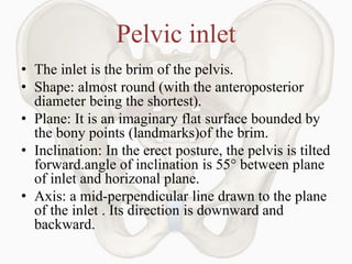 Female pelvis | PPTX
