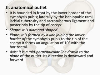 Female pelvis | PPTX