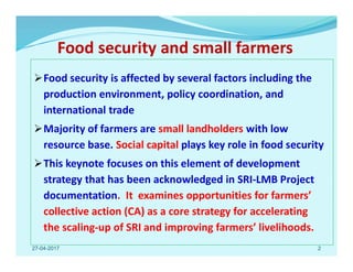 Strategic Options for Food Security: System of Rice Intensification ...