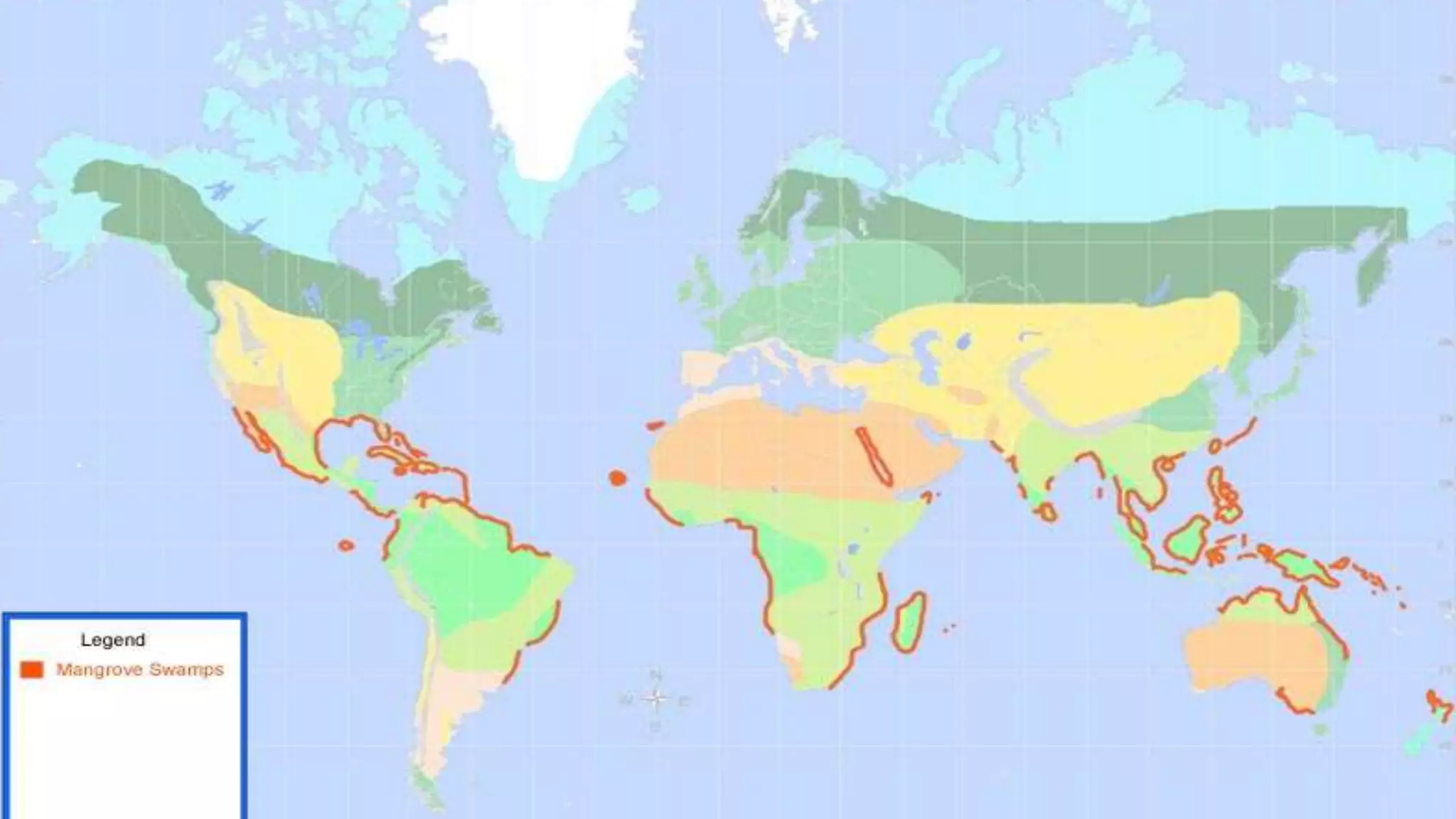 GEOGRAPHY IGCSE: MANGROVE SWAMPS HABITAT | PPTX