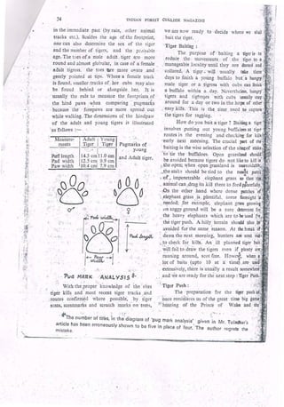 Pugmarks and Radiotelemetry : Tiger Research in Nepal | PDF