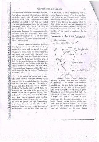 Pugmarks and Radiotelemetry : Tiger Research in Nepal | PDF