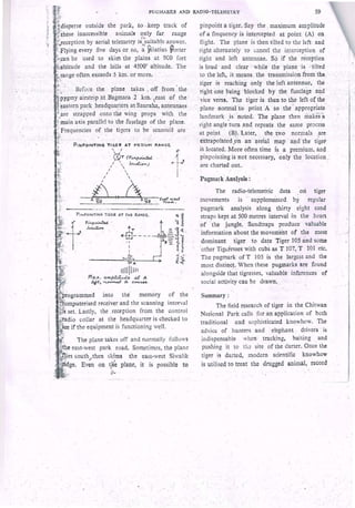 Pugmarks and Radiotelemetry : Tiger Research in Nepal | PDF