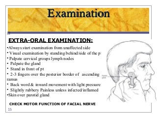 01. salivary glands examinations | PPT