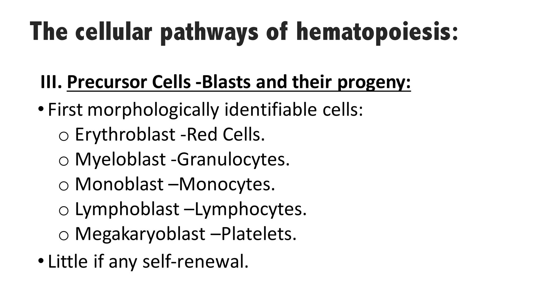 01. Hematopoiesis | PDF