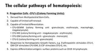 01. Hematopoiesis | PDF