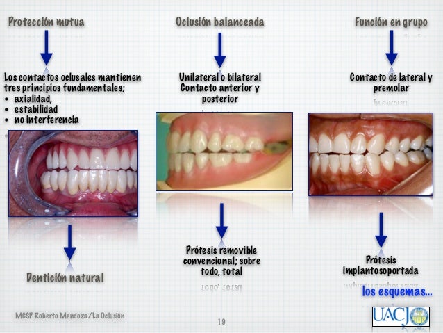 01. introducción al estudio de la oclusión