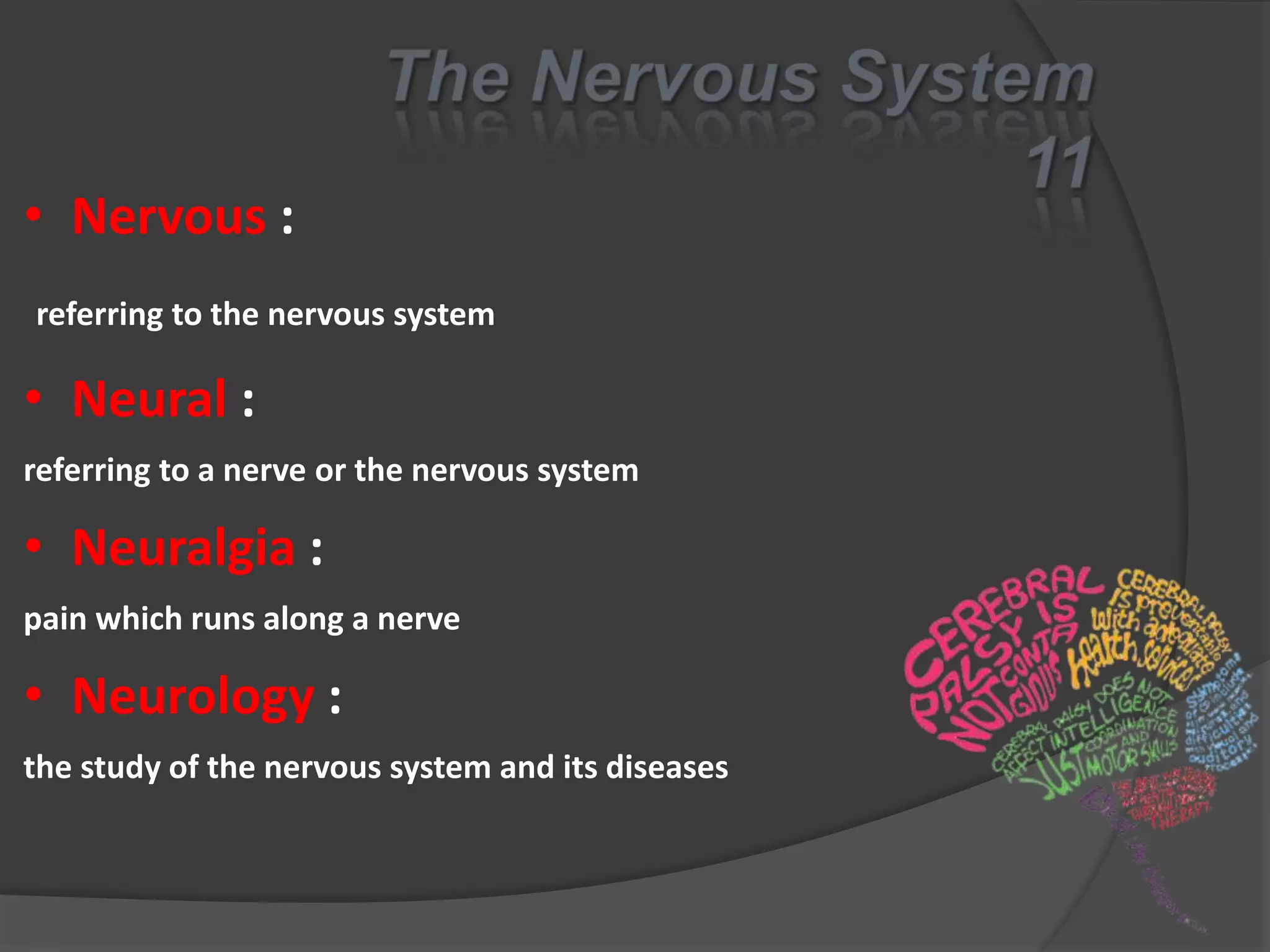 Terminology of Nervous System | PPTX