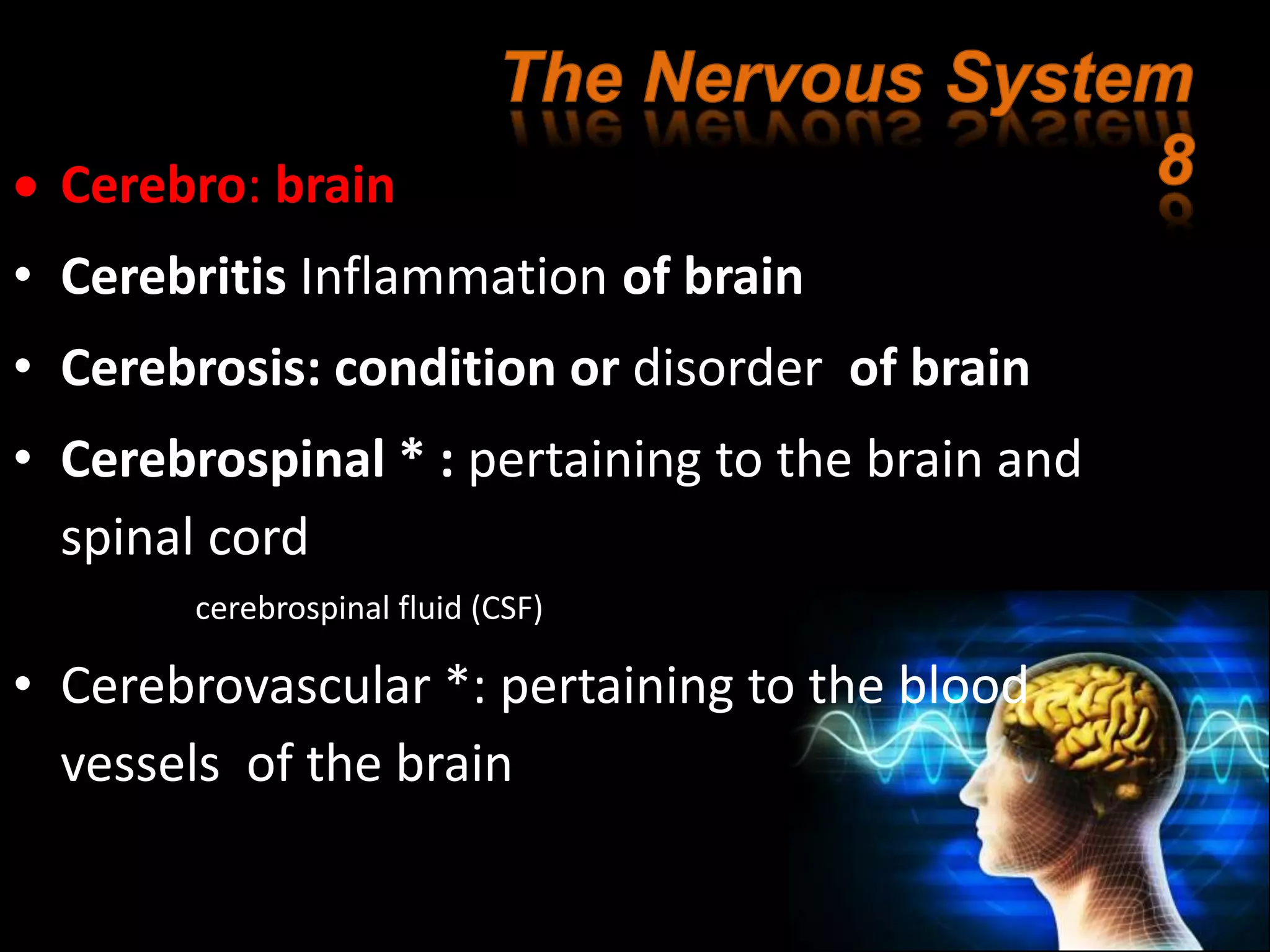 Terminology of Nervous System | PPTX