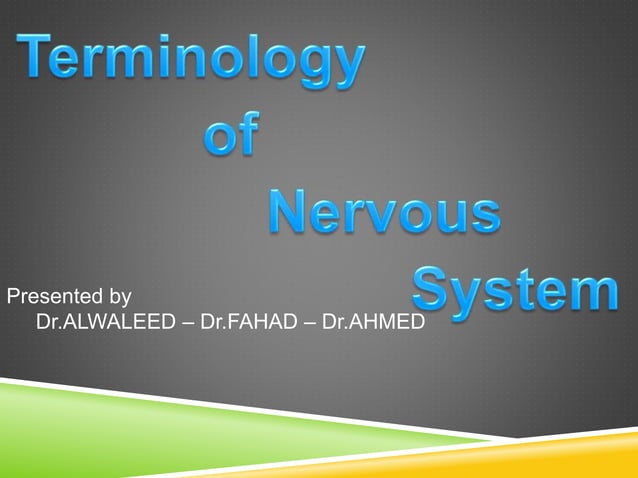 Terminology of Nervous System | PPTX | Brain and Nervous System ...