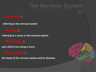 Terminology of Nervous System | PPTX