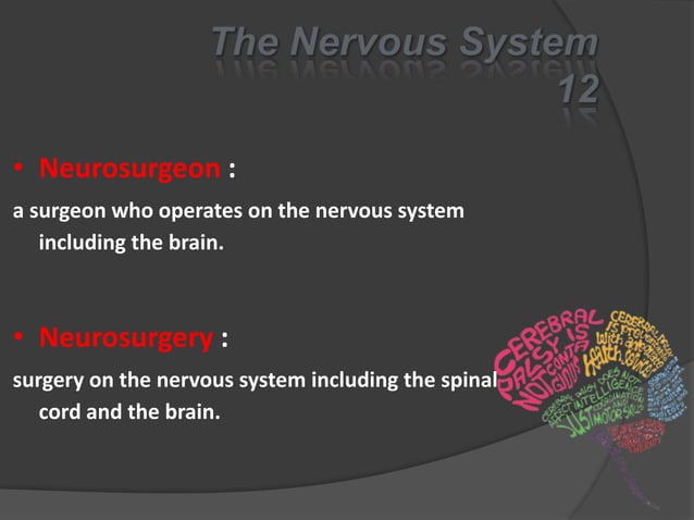 Terminology of Nervous System | PPTX | Brain and Nervous System ...