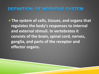 Terminology of Nervous System | PPTX