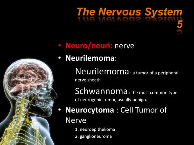 Terminology of Nervous System | PPTX | Brain and Nervous System ...