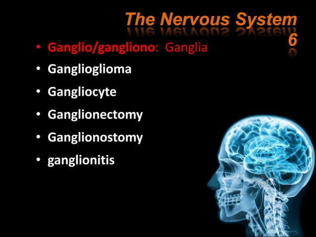 Terminology of Nervous System | PPTX | Brain and Nervous System ...