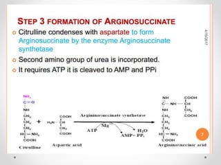 urea-Chemical Pathology | PPTX