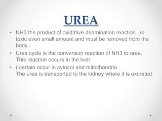 urea-Chemical Pathology | PPTX