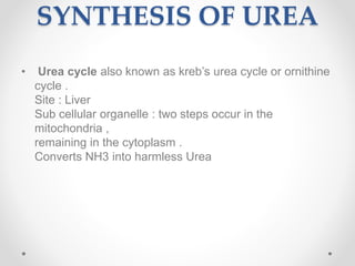 urea-Chemical Pathology | PPTX