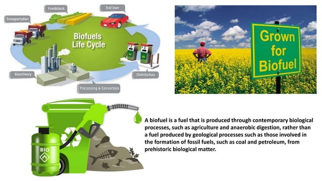 A2 CAMBRIDGE GEOGRAPHY: ENVIRONMENTAL MANAGEMENT - SUSTAINABLE ENERGY ...