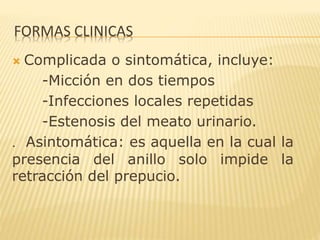 01. genitales externos | PPTX