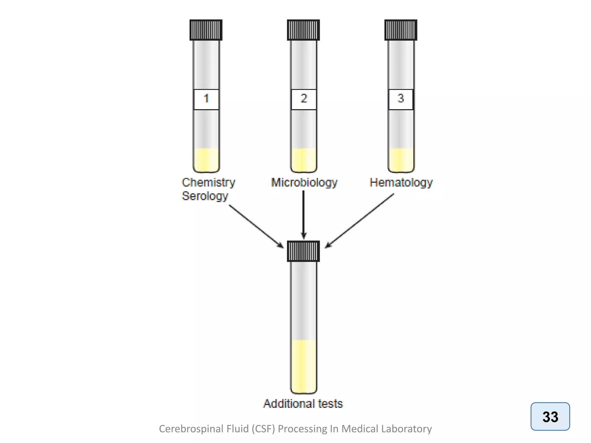 CSF processing in medical laboratory (01) | PDF