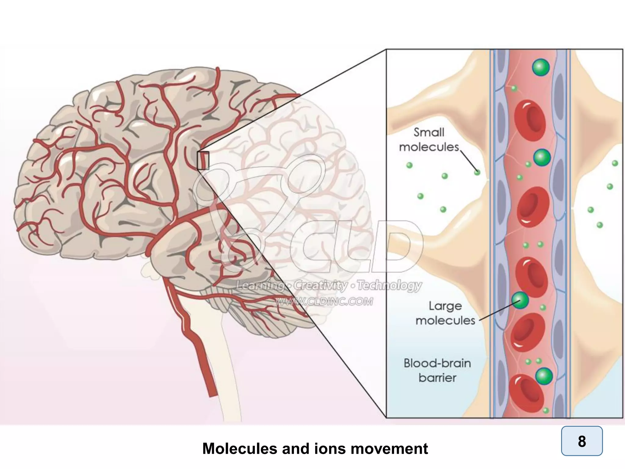 CSF processing in medical laboratory (01) | PDF