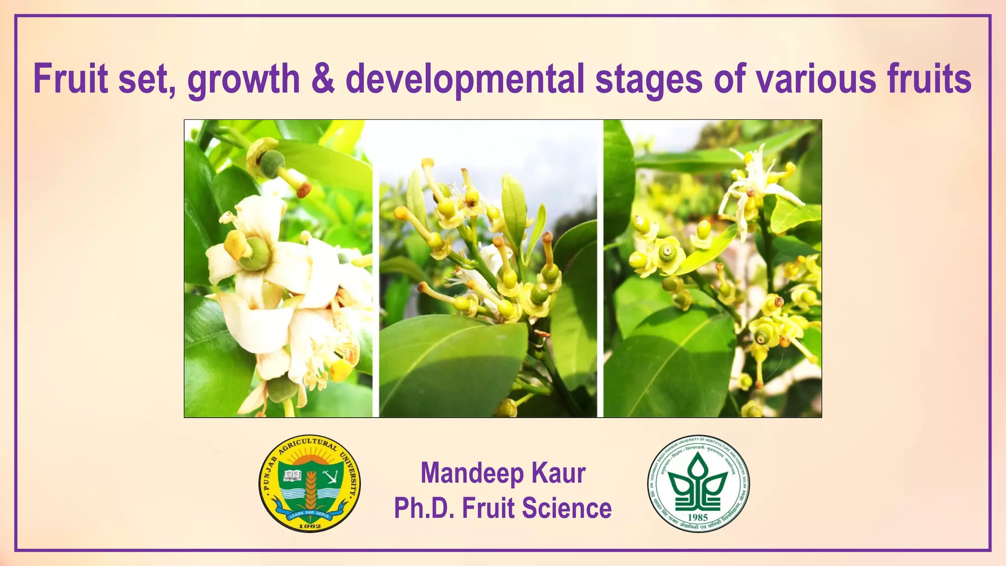 Fruit set, growth & developmental stages of various fruits | PPT