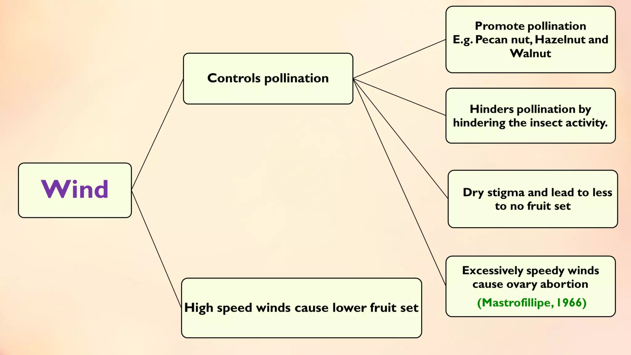Fruit set, growth & developmental stages of various fruits | PPT