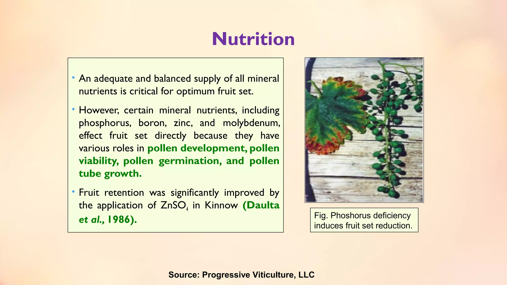 Fruit set, growth & developmental stages of various fruits | PPT