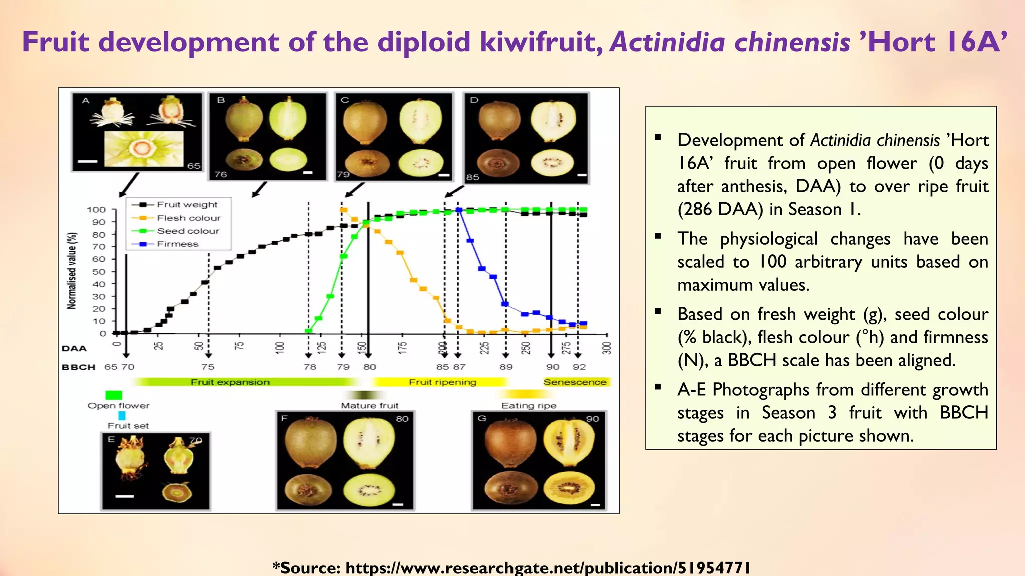 Fruit set, growth & developmental stages of various fruits | PPT