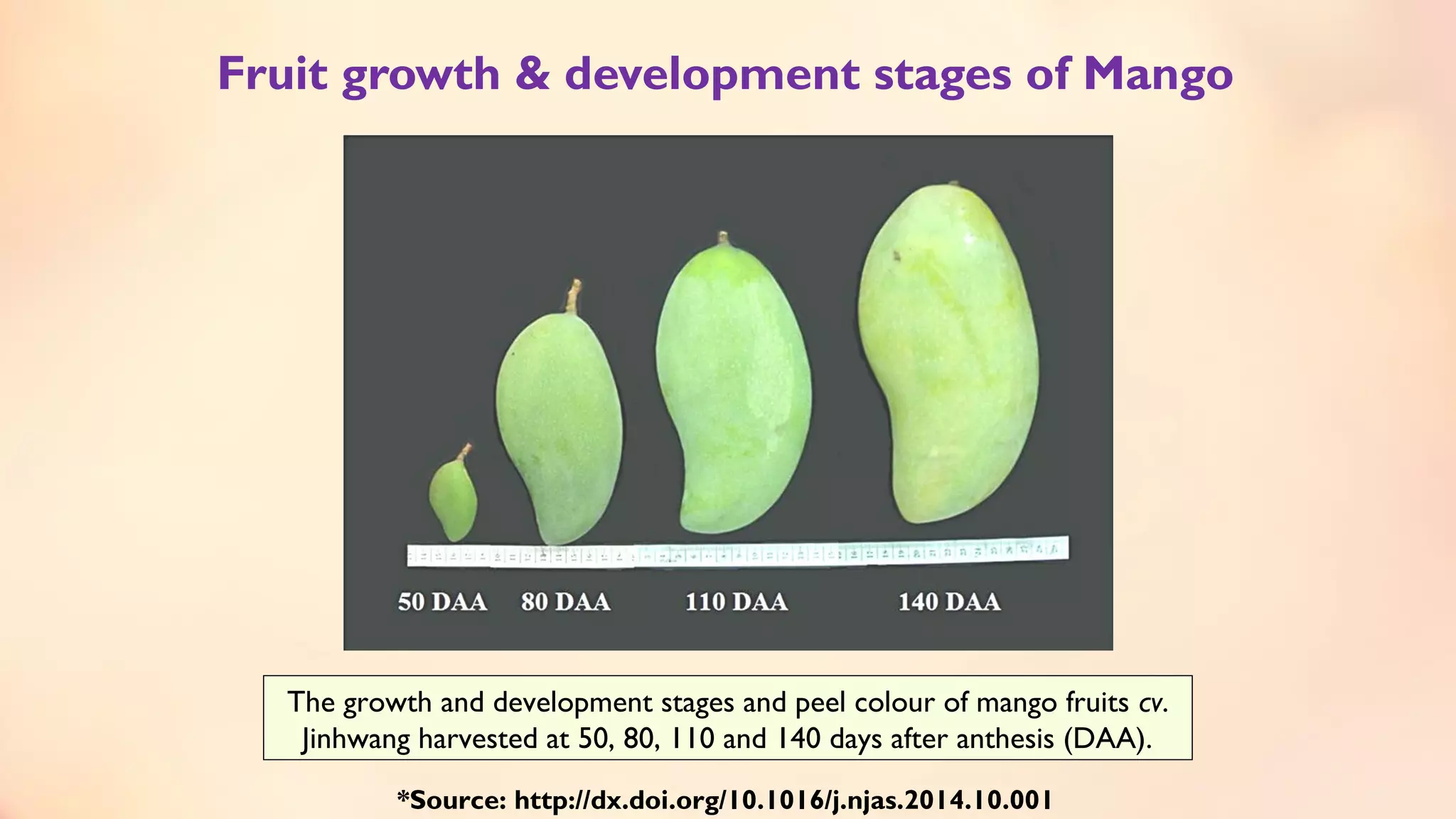 Fruit set, growth & developmental stages of various fruits | PPT