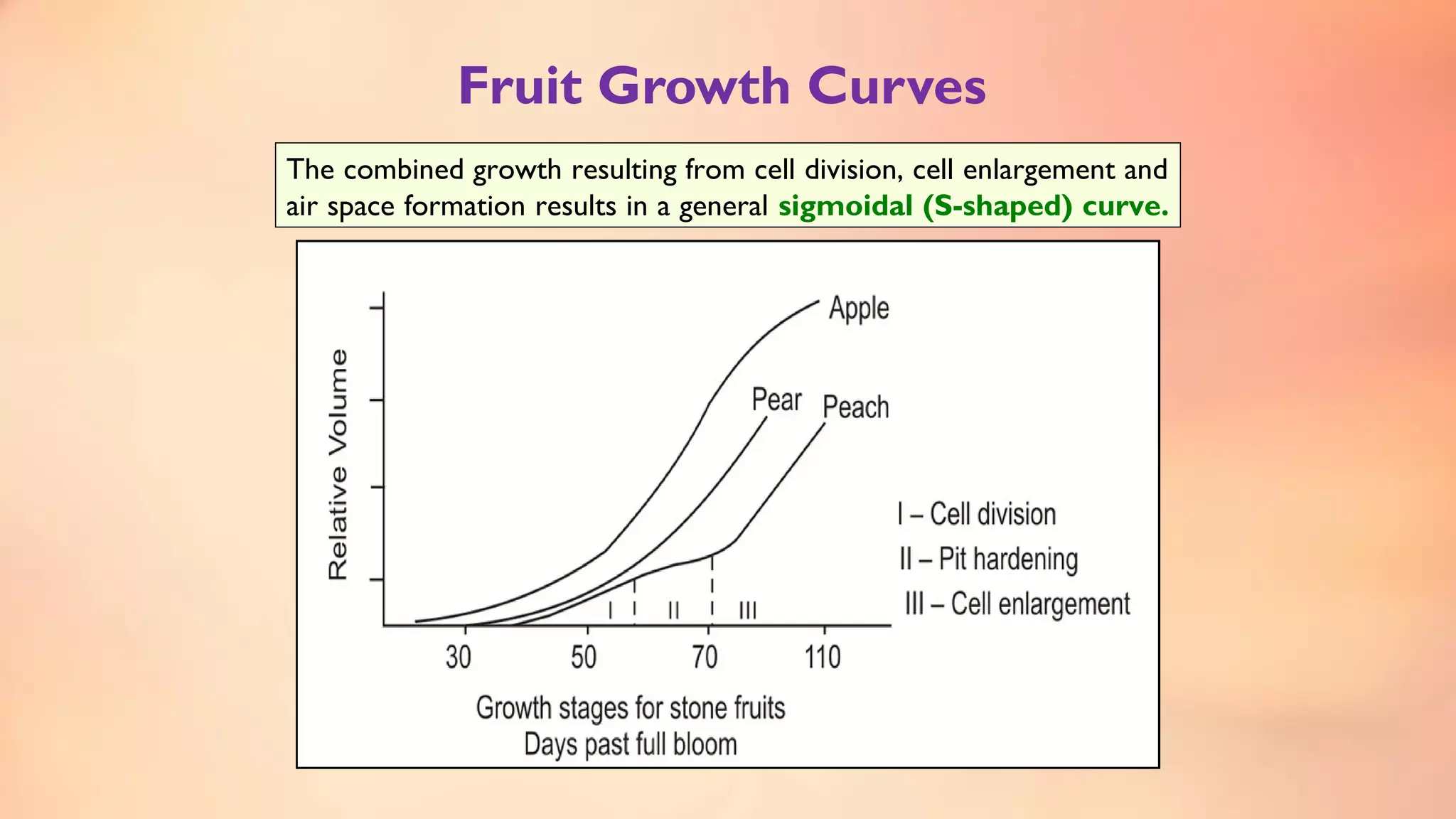 Fruit set, growth & developmental stages of various fruits | PPT
