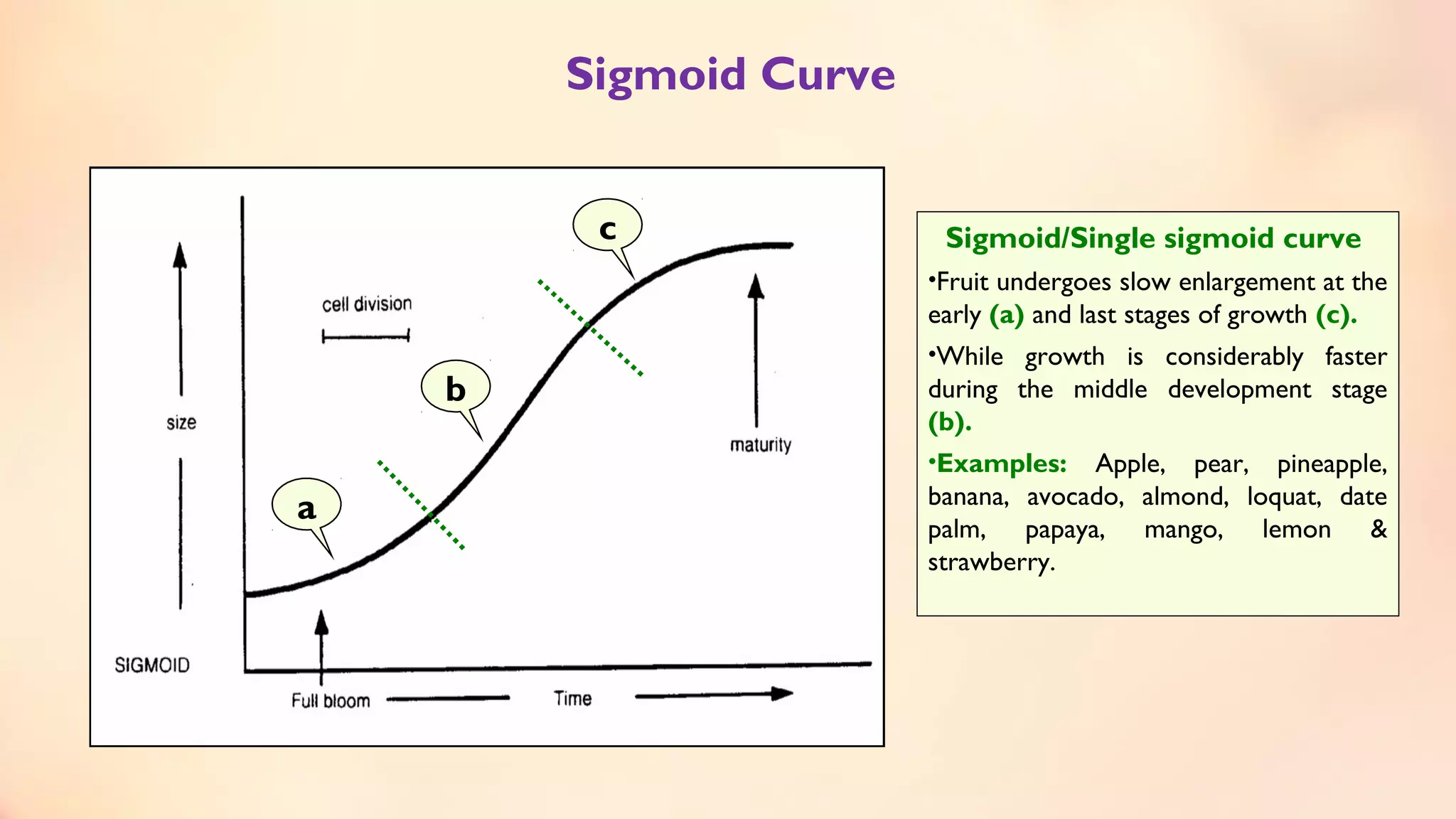 Fruit set, growth & developmental stages of various fruits | PPT