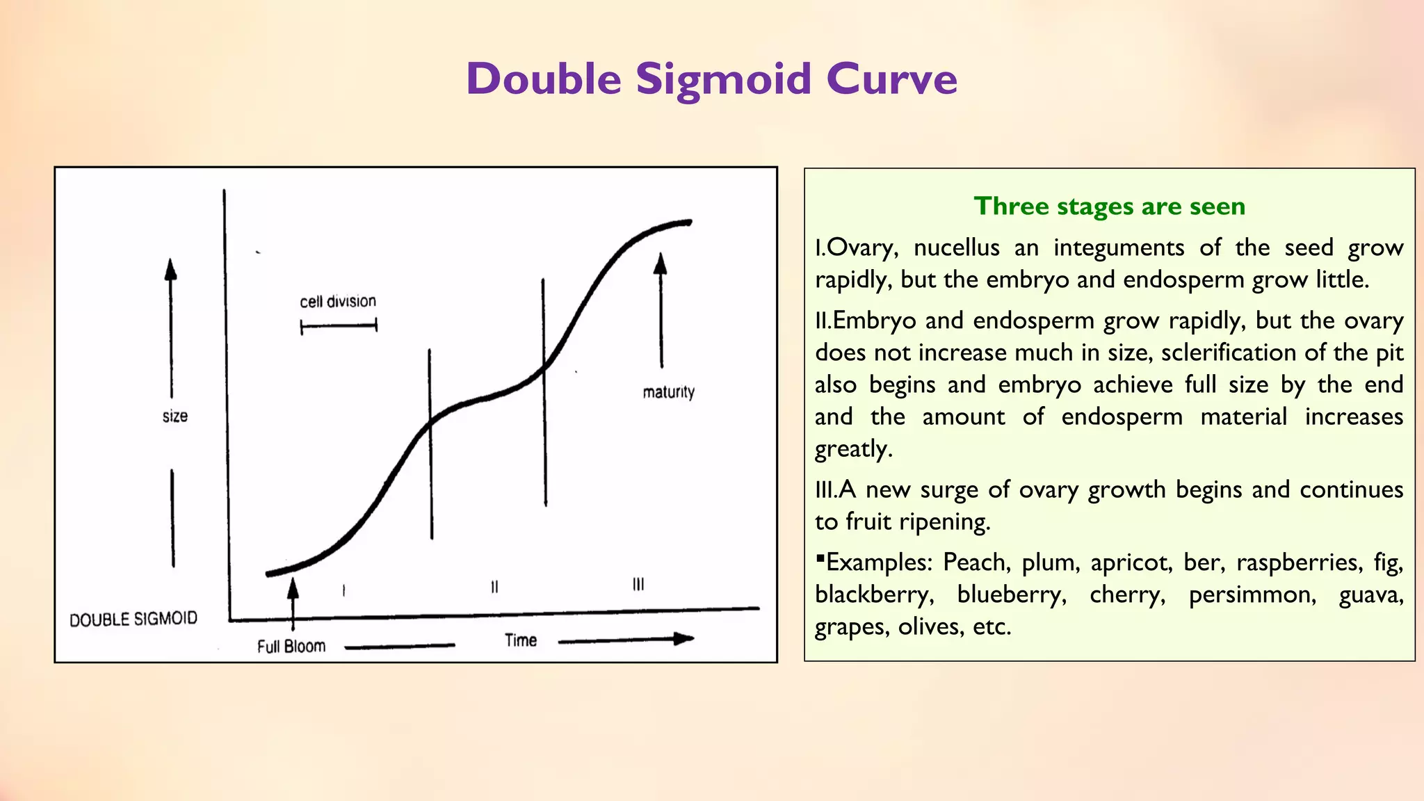 Fruit set, growth & developmental stages of various fruits | PPT