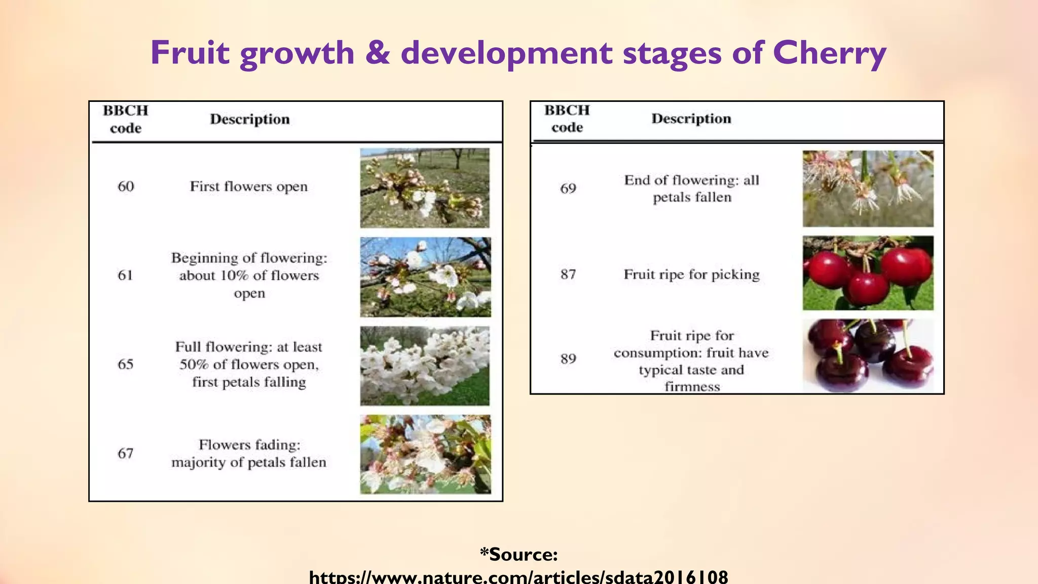 Fruit set, growth & developmental stages of various fruits | PPT
