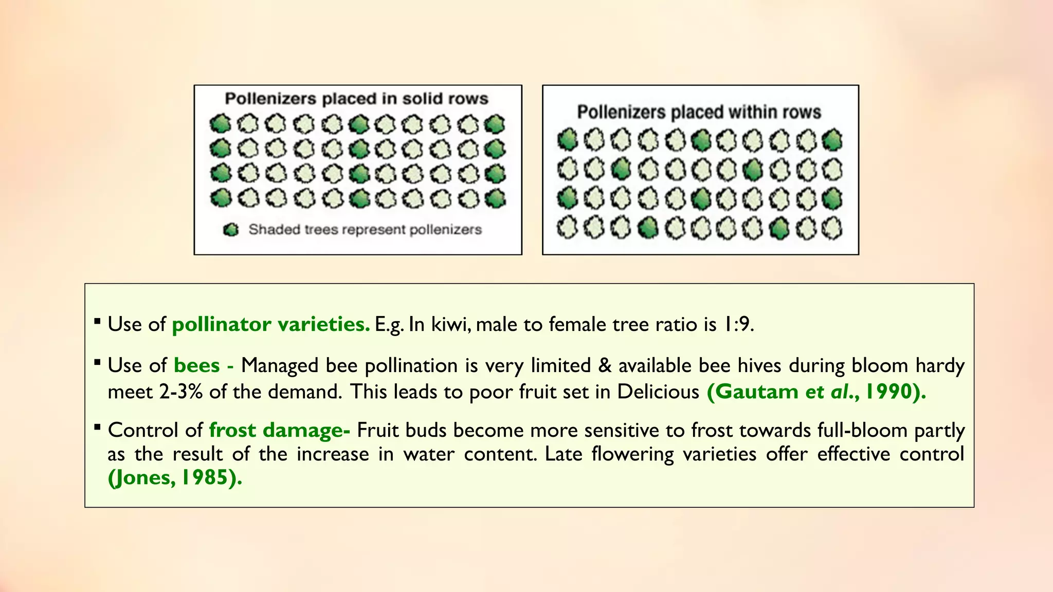 Fruit set, growth & developmental stages of various fruits | PPT