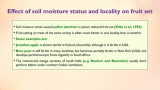 Fruit set, growth & developmental stages of various fruits | PPT