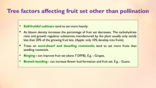Fruit set, growth & developmental stages of various fruits | PPT