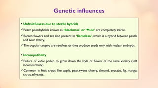 Fruit set, growth & developmental stages of various fruits | PPT
