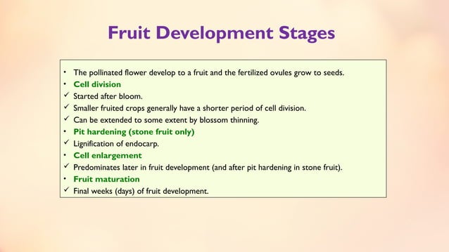 Fruit set, growth & developmental stages of various fruits | PPT ...