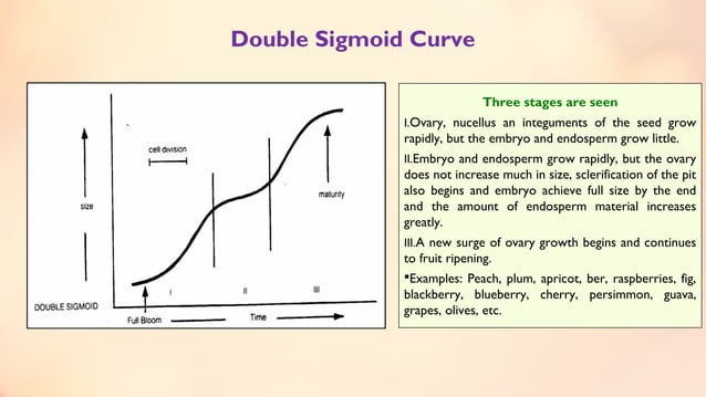 Fruit set, growth & developmental stages of various fruits | PPT ...