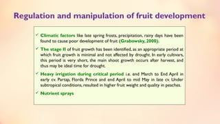 Fruit set, growth & developmental stages of various fruits | PPT