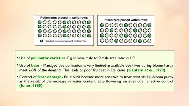Fruit set, growth & developmental stages of various fruits | PPT ...